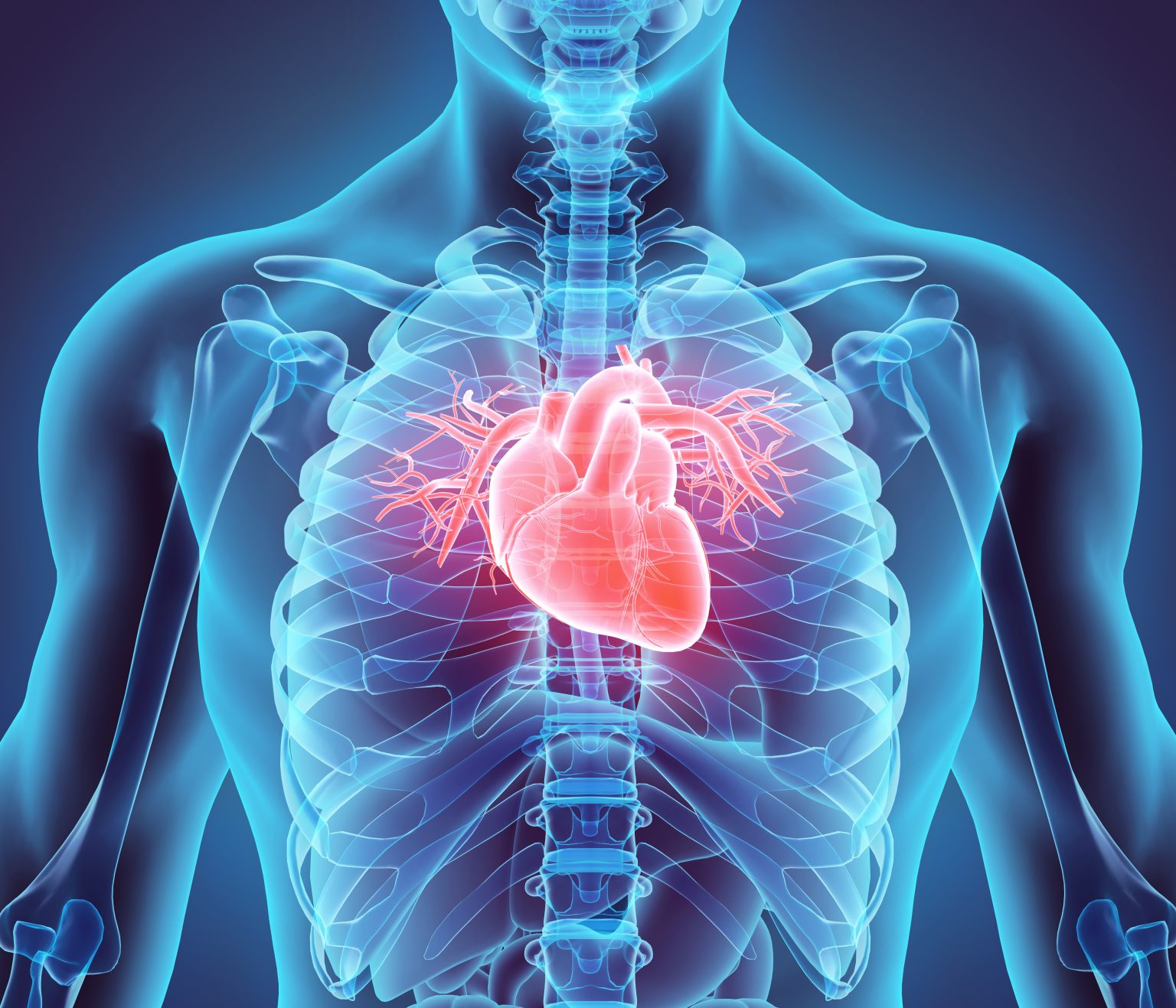 Mitral Valve Symptoms and Conditions | Minimally Invasive ...